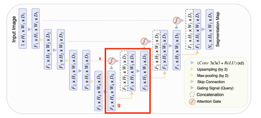 Attention UNet结构及pytorch实现_attention unet pytorch-CSDN博客