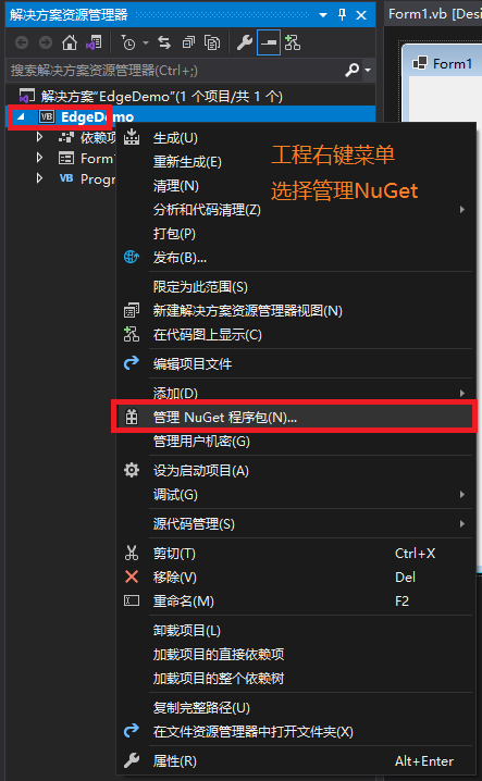 VB.NET使用.Net5.0创建WebView2窗体应用程序_visual studio 2010 使用webview2-CSDN博客