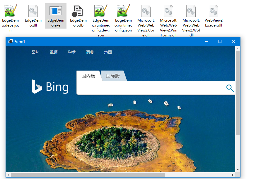 VB.NET使用.Net5.0创建WebView2窗体应用程序_visual studio 2010 使用webview2-CSDN博客