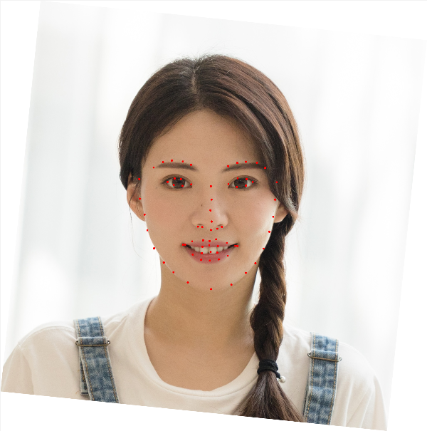 利用face_alignment检测人脸68个特征点并对齐_lite.ai.toolkit fcae alignment-CSDN博客