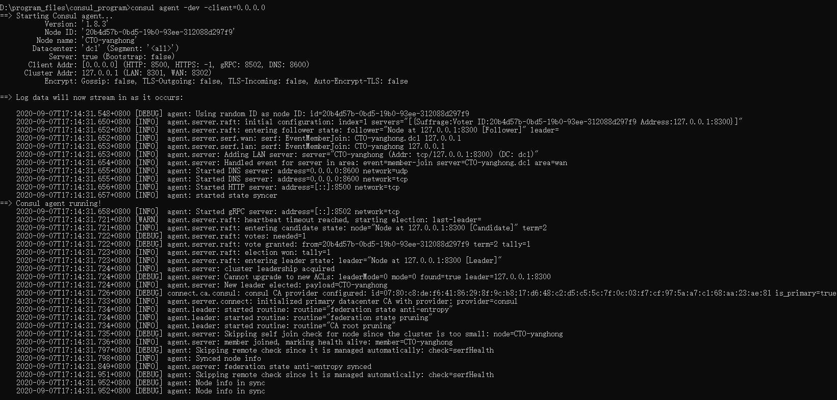 Consul注册中心(windows)安装及启动_consult 注册中心 window-CSDN博客