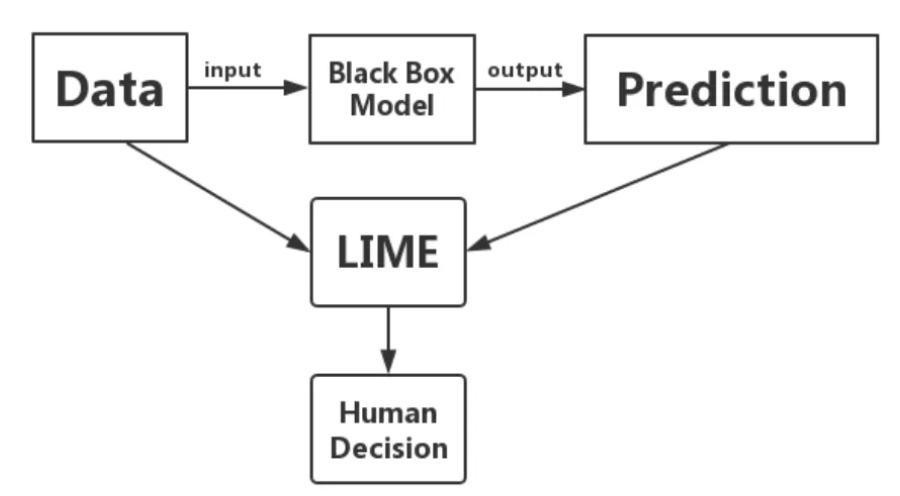 模型可解释性-LIME_local interpretable model-agnostic explanations-CSDN博客