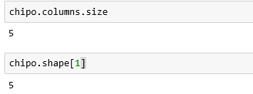 python练习——探索 Chipotle 快餐数据 _将数据集存入一个名为chipo的数据框内-CSDN博客