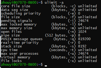 Win10 WSL2 Ubuntu18.04 发生 Segmentation fault 后，如何调试_wsl segmentation fault-CSDN博客