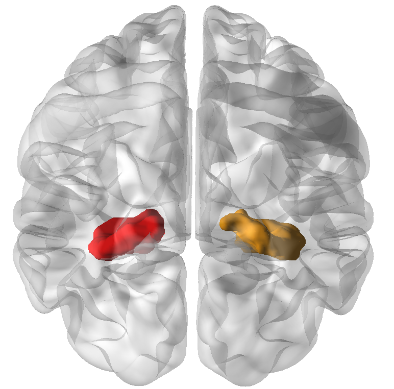 BrainNet Viewer使用说明和画图实践-CSDN博客