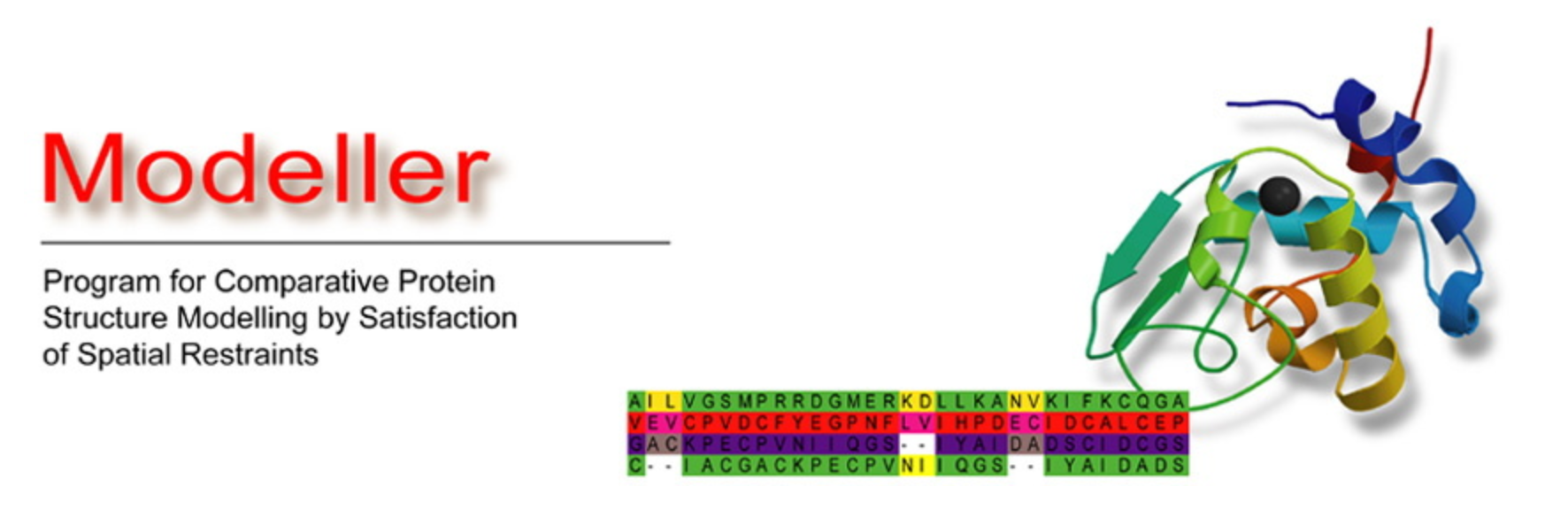 Modeller多模板同源建模教程-CSDN博客