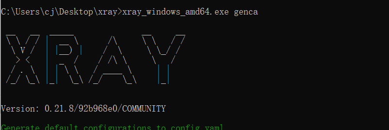 xray的安装及应用_xary-CSDN博客