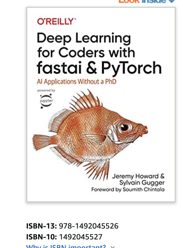 人工智能 深度学习的书籍推荐_deep learning for coders with fastai and pytorch: -CSDN博客