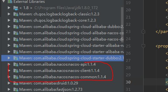 nacos(一）--搭建遇到的问题_nacos but has failed to stop it. this is very like-CSDN博客