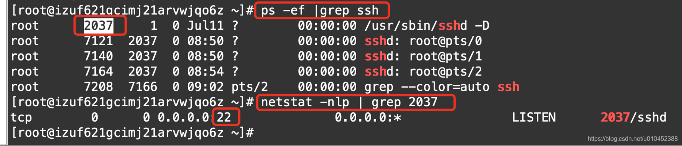 Ports and processes - Programmer Sought