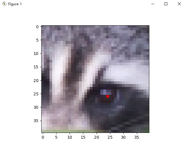 differentiable spatial to numerical (DSNT)介绍与使用-CSDN博客