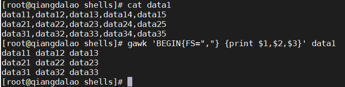 linux的gawk命令_gawk index命令-CSDN博客