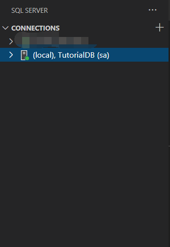VSCode插件 SQL Server 连接 Microsoft Server SQL_vscode mvc connect sql server-CSDN博客