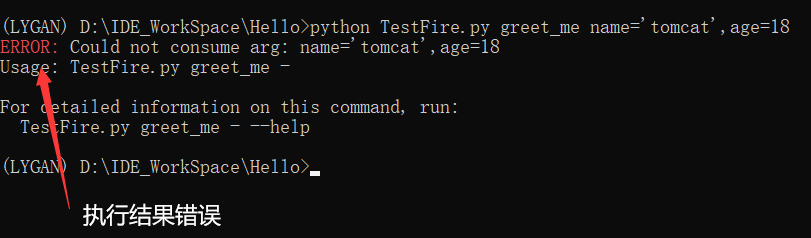 通过fire.Fire()给**kwargs传递参数_could not consume arg-CSDN博客
