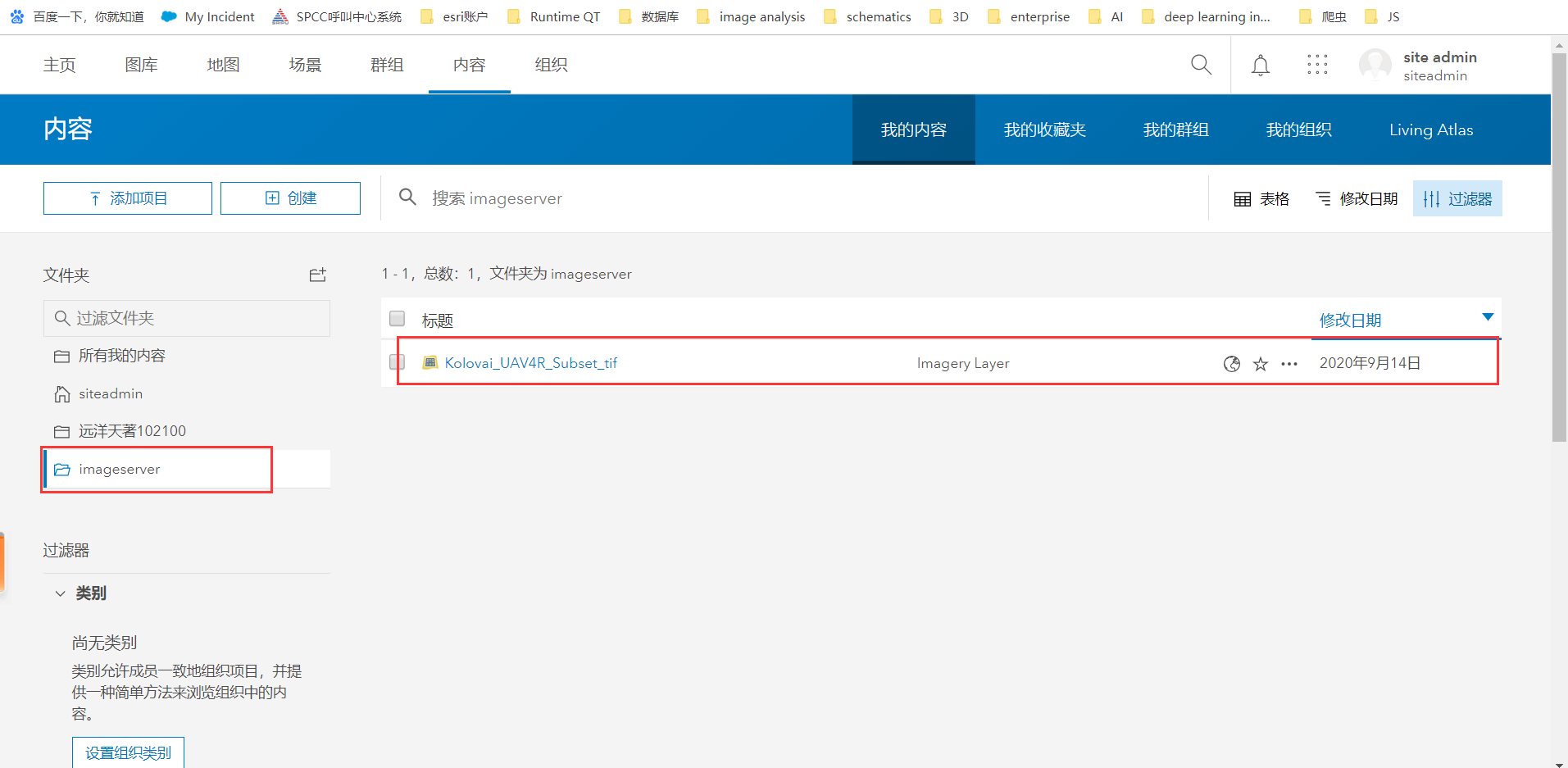 发布和使用 ArcGIS Server 服务之--影像服务（image server）_arcgis server imageserver ...
