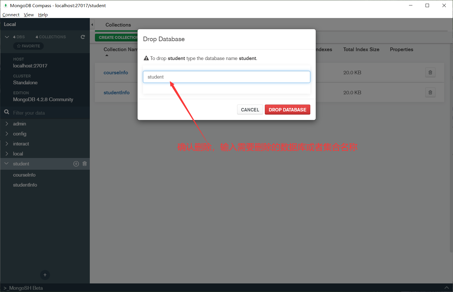 Mongodb Compass Import Json Pixeldop