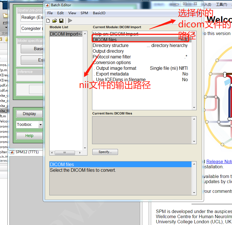 利用spm12将dicom医学图像格式转成NII格式_spm dicom转nii-CSDN博客
