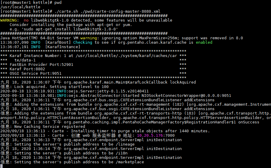 ETL数据仓库工具Kettle(PDI)轻量级Web应用服务器环境搭建_kettle web-CSDN博客