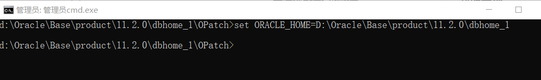 用OPatch给Oracle打补丁，小白踩坑以及解决办法全纪录-CSDN博客