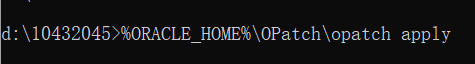用OPatch给Oracle打补丁，小白踩坑以及解决办法全纪录-CSDN博客