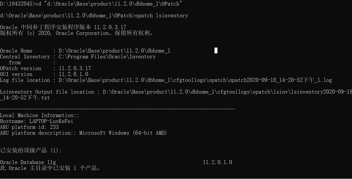 用OPatch给Oracle打补丁，小白踩坑以及解决办法全纪录-CSDN博客