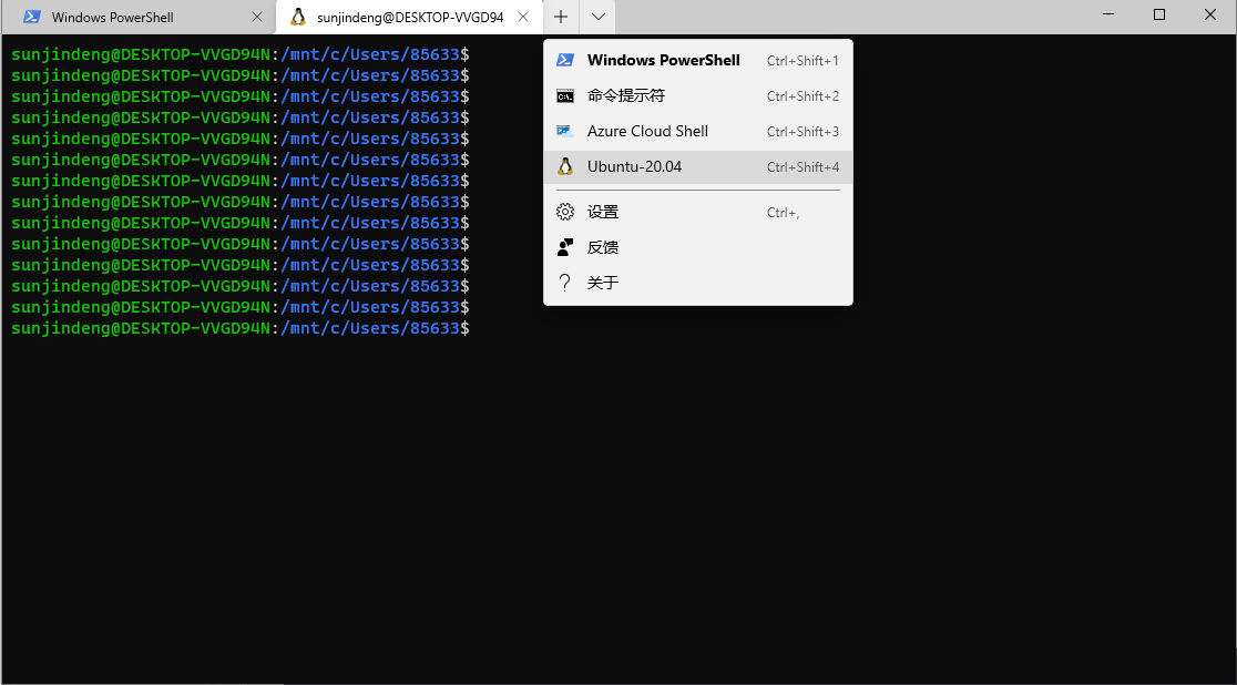 windows的子系统Ubuntu以及Windows Terminal的使用_windows terminal ubuntu-CSDN博客