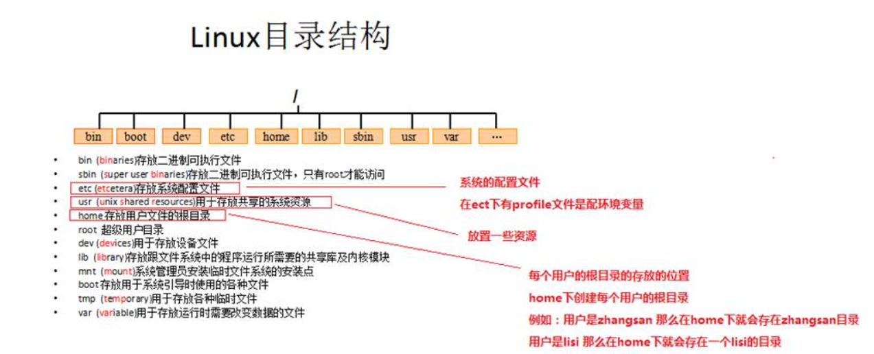 Linux操作系统学习笔记5【Linux 系统目录结构】_操作系统目录结构可视化-CSDN博客