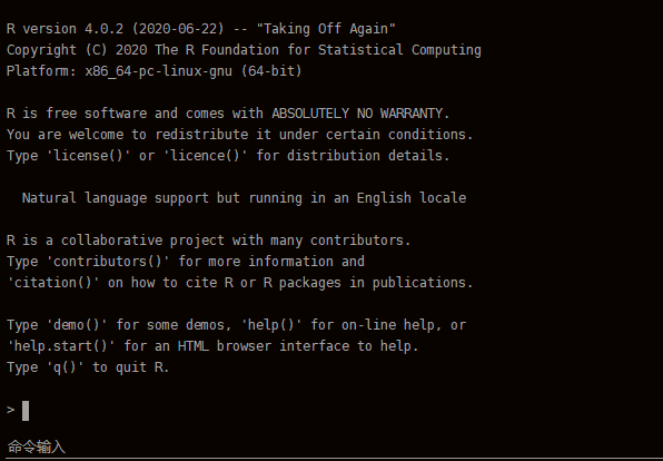 R语言Linux环境基于docker安装（在线、离线两种方式）_docker上安装最新版r语言环境-CSDN博客