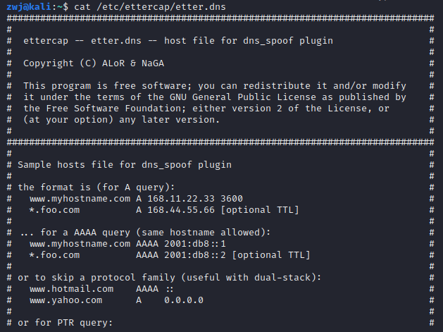 使用ettercap进行dns劫持_为什么ettercap dns劫持没效果-CSDN博客
