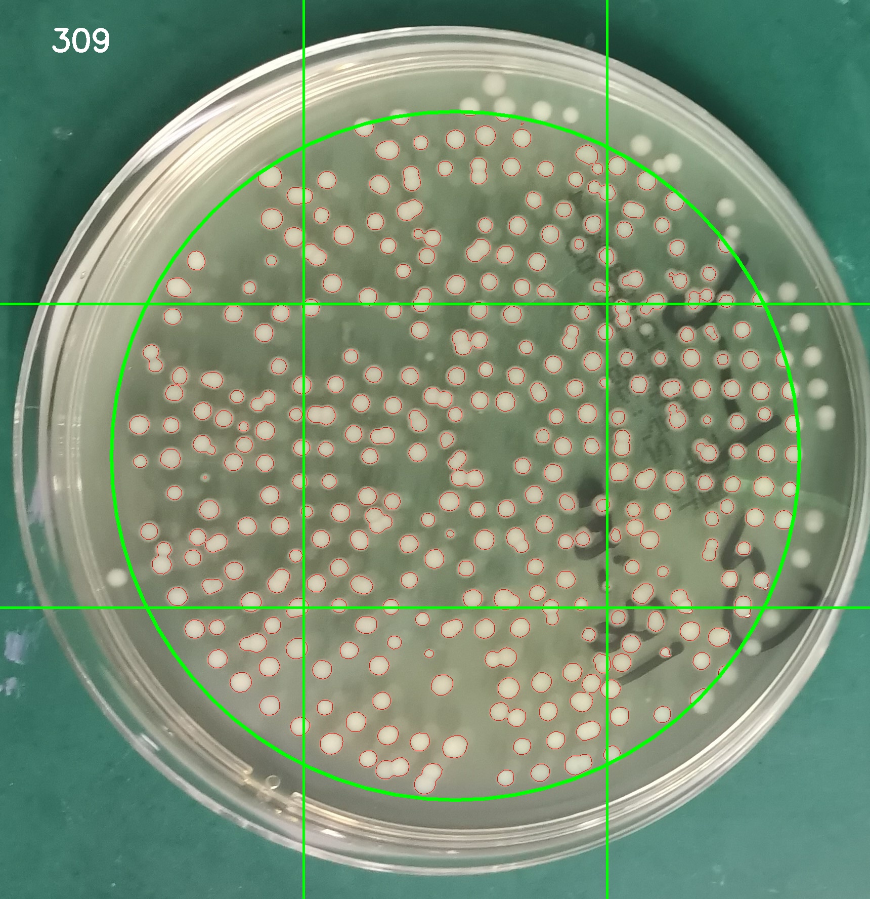 【PyQt5】简易菌群计数软件（基于opencv-python和PyQt5）_培养皿上微生物定位数据集csdn-CSDN博客