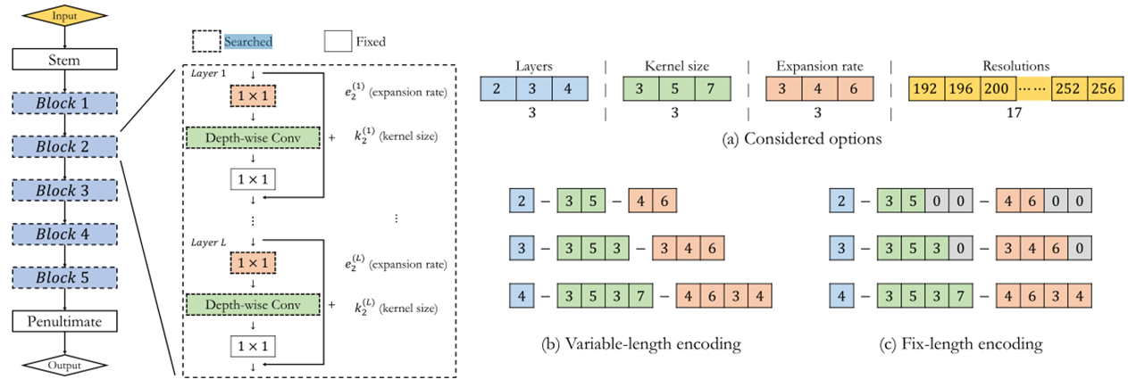 NAS论文笔记：代理模型篇：NSGA Net V2: Evolutionary Multi-Objective Surrogate-Assisted Neural Architecture ...