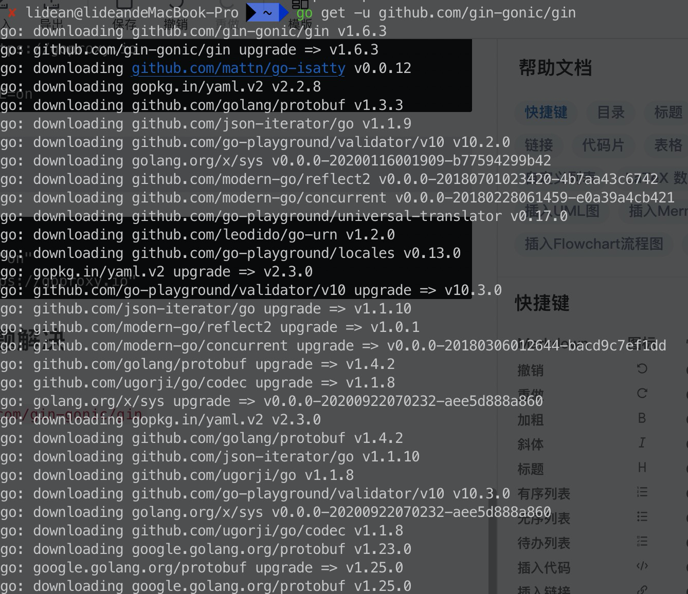 安装gin失败或卡住，亲测有效！_go的gin框架启动卡住-CSDN博客