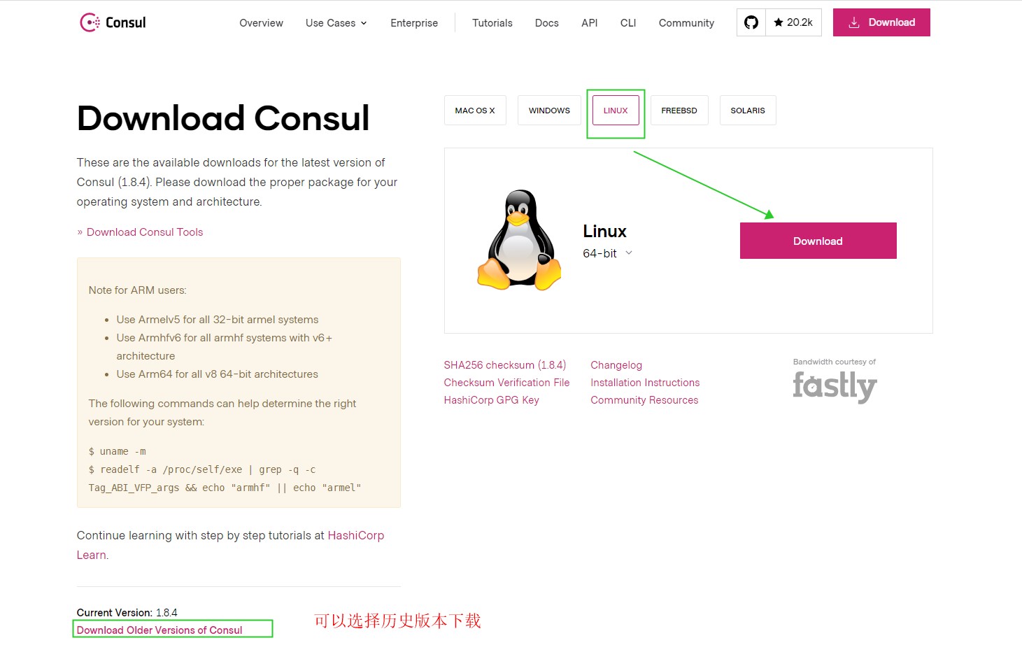 linux部署consul及使用案例_consul部署最佳实践-CSDN博客