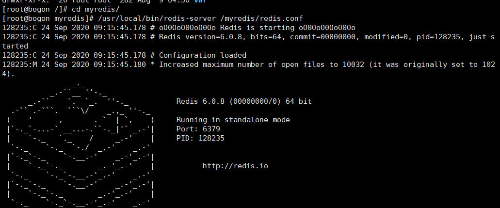 Linux下安装Redis 6.0.8_linux拉取redis6.0.8的配置文件-CSDN博客