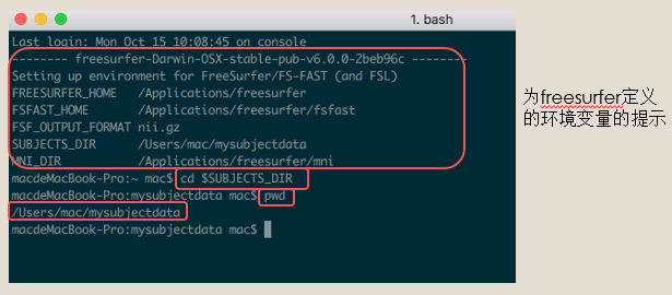 实现SEEG电极触电的自动分割_slicer seeg-CSDN博客