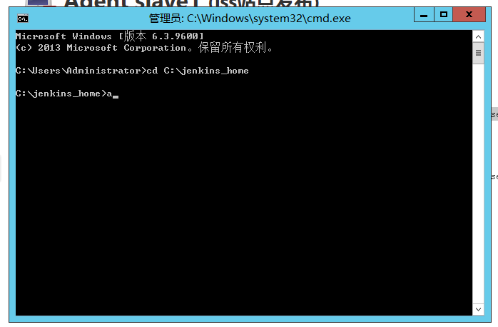 Jenkins 配置windows服务器为slave节点_jenkins slave windows-CSDN博客