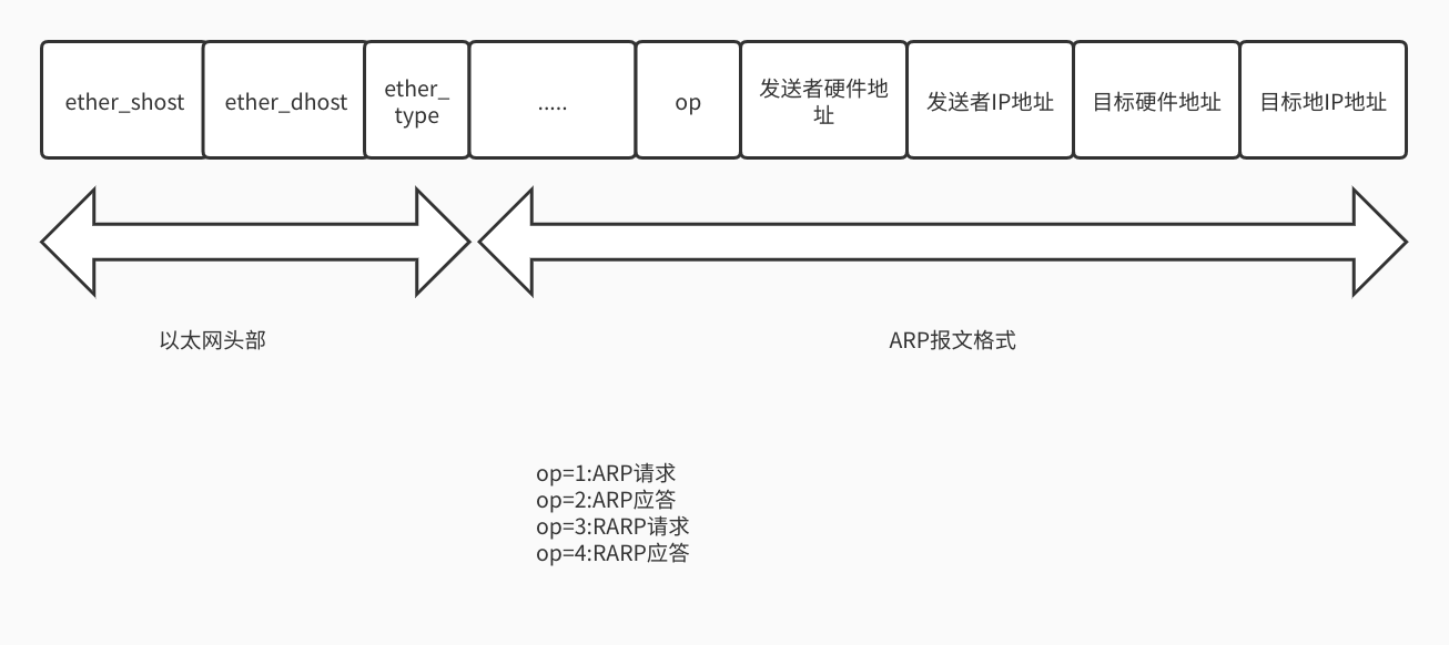 arp协议与icmp协议在ping中的应用_arp ping和icmp ping-CSDN博客