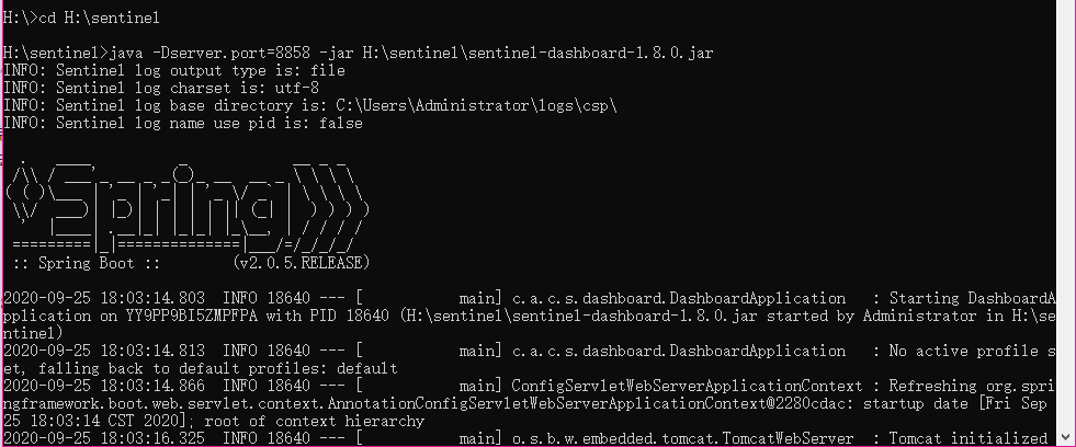 spring-alibaba-sentinel具体配置使用_sentinel修改端口-CSDN博客