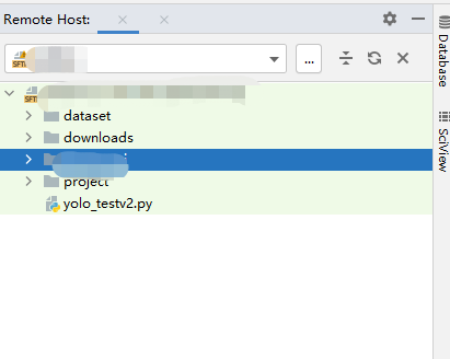 Xshell&pycharm连接远程服务器_为什么pycharm要用xshell-CSDN博客