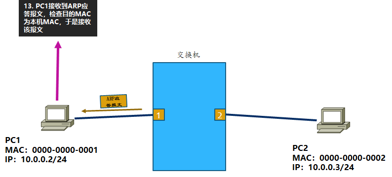 交换机二层转发过程（Ping过程）-CSDN博客