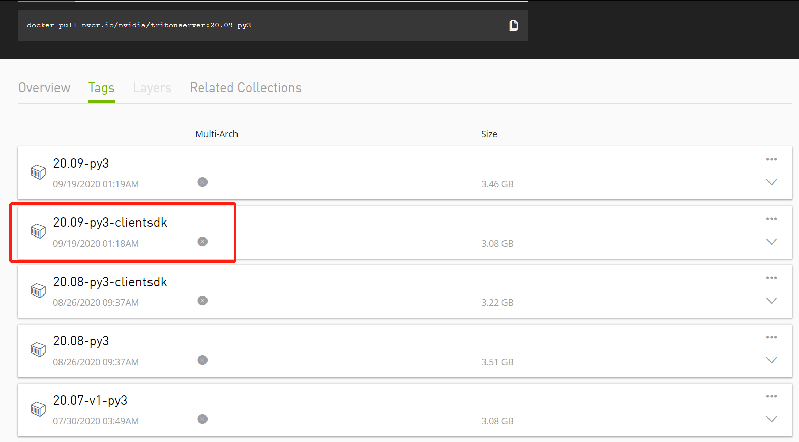 NVIDIA之Triton Inference Server环境部署安装-CSDN博客