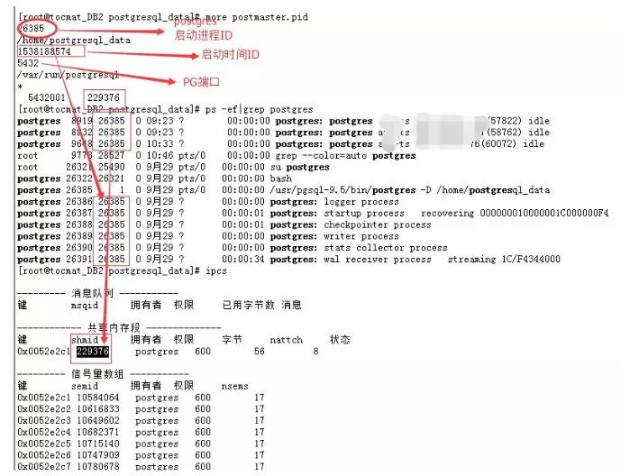 五个 PostgreSQL 典型故障案例及处理_postgresql archiver service 运行状况警报-CSDN博客