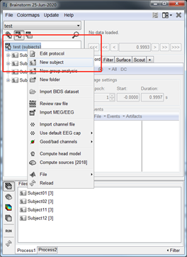MEG预处理-Brainstorm_如何安装brainstorm-CSDN博客