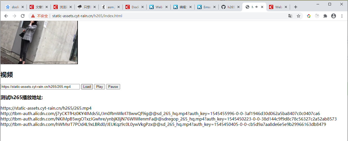 浏览器支持H.265解码总结_video 标签 h265-CSDN博客