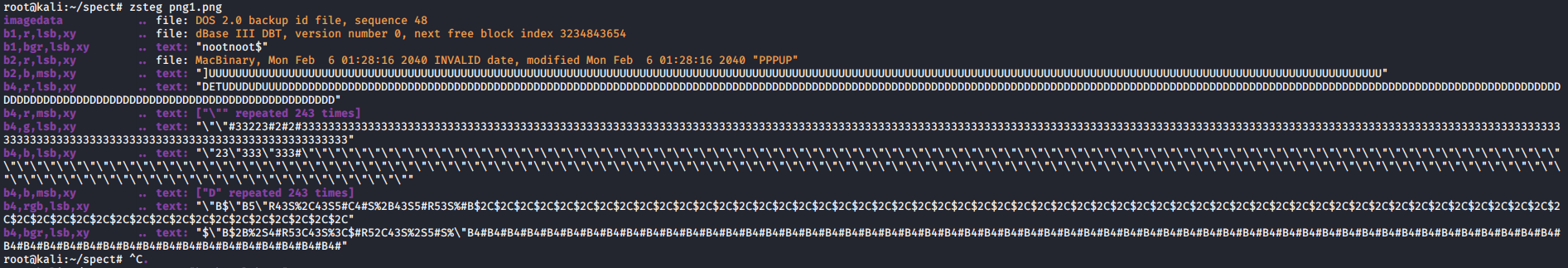 常见的隐写工具的使用_stegoveritas-CSDN博客