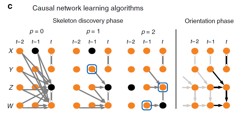 论文阅读：《Inferring causation from time series in Earth system sciences》_pcmci算法-CSDN博客