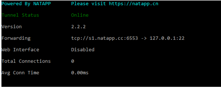 natapp内网穿透(保姆式教程)_natapp如何改监听的端口-CSDN博客