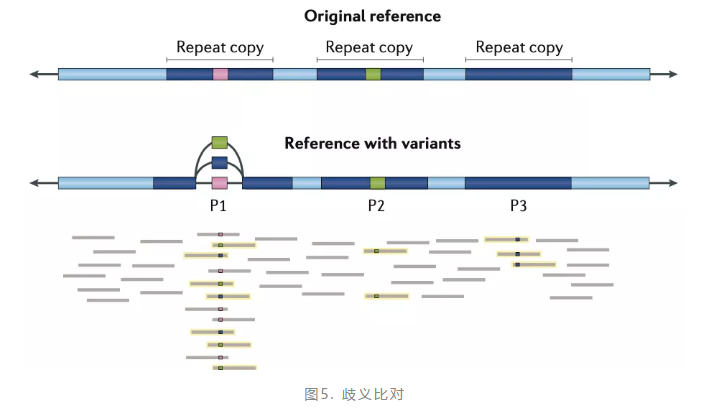 《泛基因组学》学习笔记_组学大讲堂 泛基因组-CSDN博客