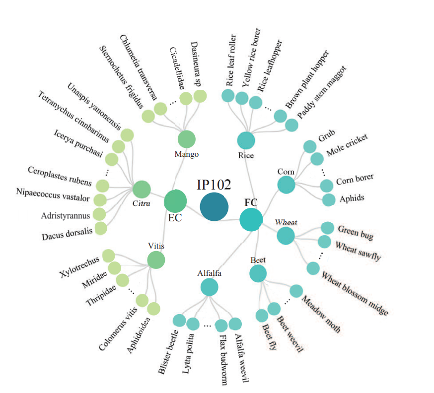 【论文笔记】IP102: A Large-Scale Benchmark Dataset for Insect Pest Recognition-CSDN博客