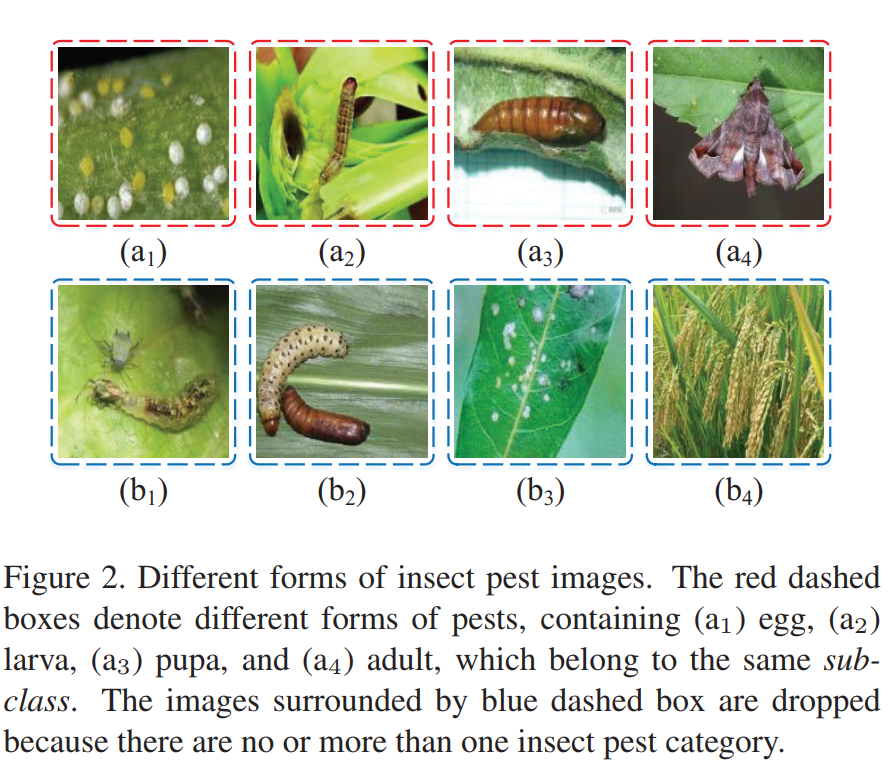 【论文笔记】IP102: A Large-Scale Benchmark Dataset for Insect Pest ...